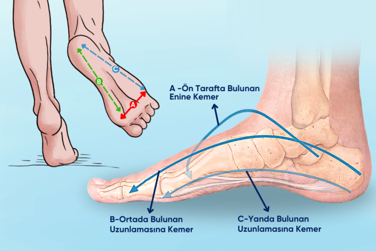 Düztaban Egzersizleri Turan&Turan